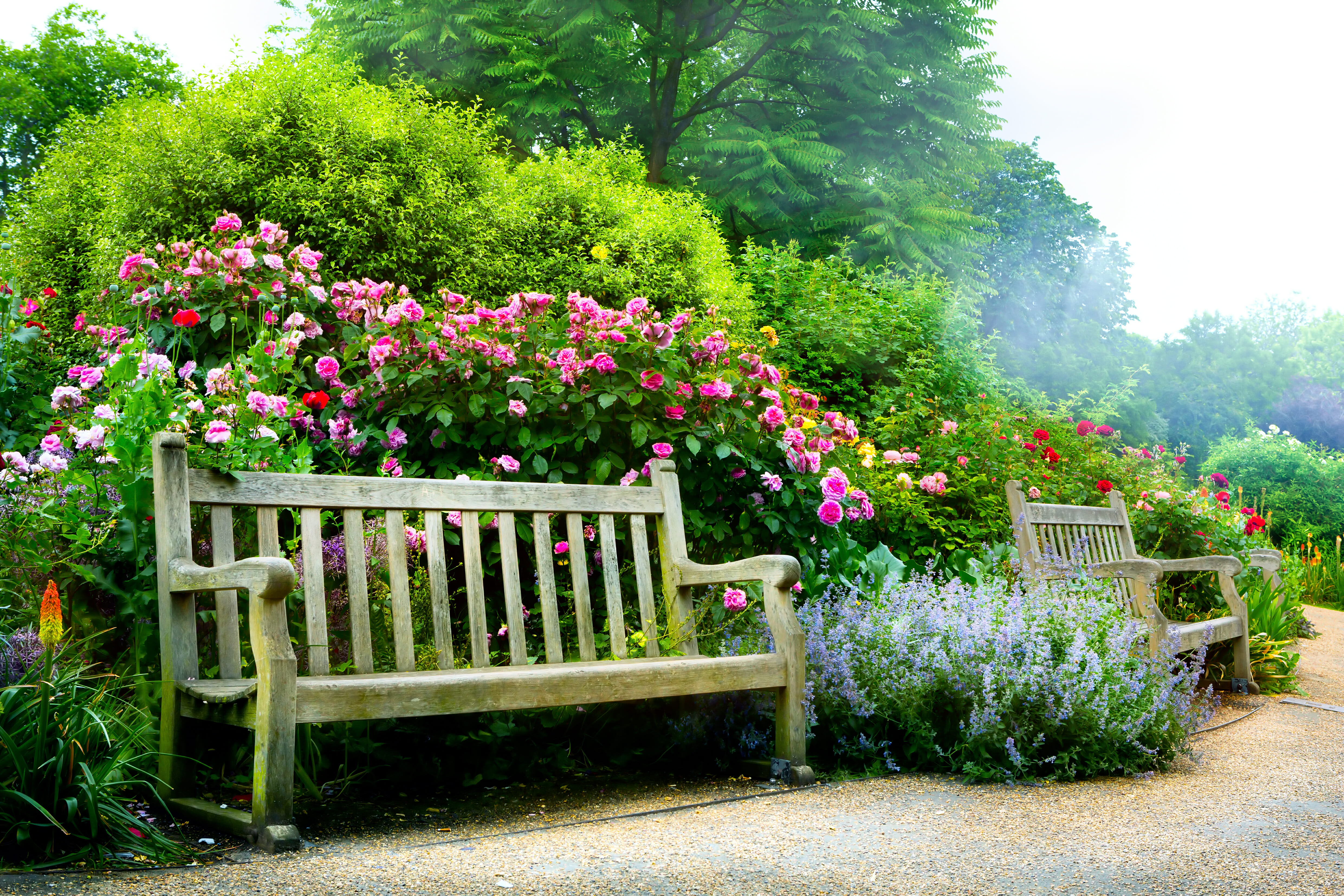 Sustainable Alternatives to Lawns and Grass - Modernize Sustainable Alternatives to Lawns and Grass - Modernize