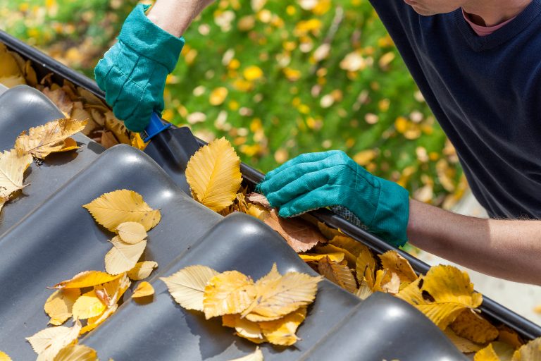 How Much Does Gutter Cleaning Cost? 2026 Price by Linear Foot