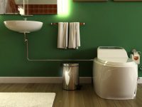 What You Need to Know About Eco-Friendly Toilets | Modernize