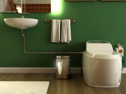 What You Need to Know About Eco-Friendly Toilets | Modernize