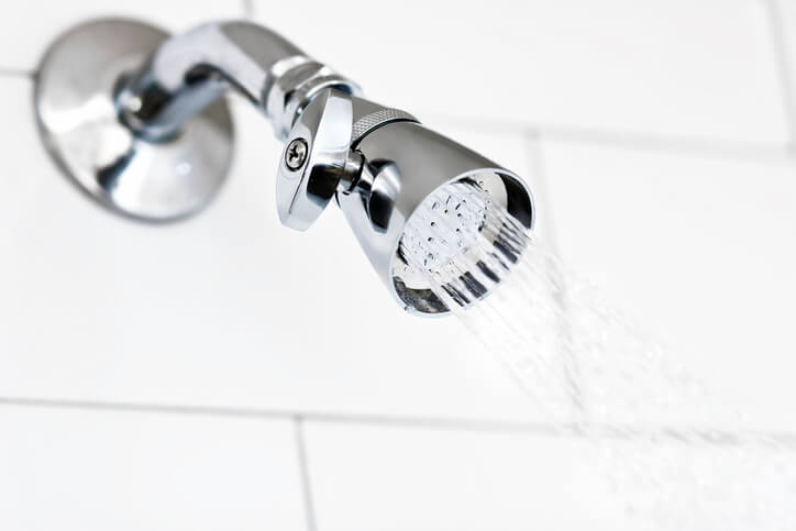 The 9 Best Shower Heads in 2021 | Top Shower Head Types | Modernize