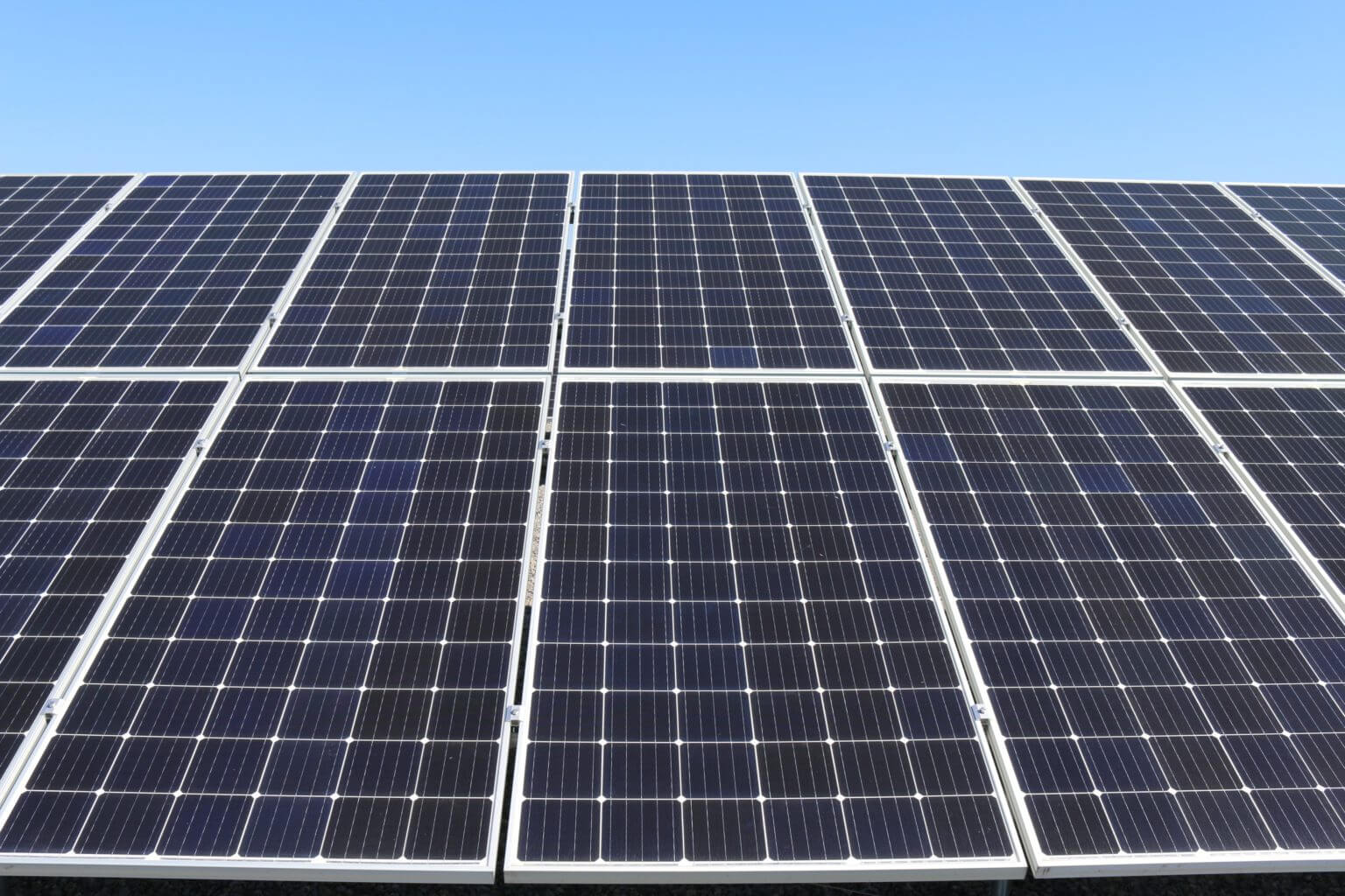 Blue Raven Solar Review: 2025 Costs, Products & Pros/Cons