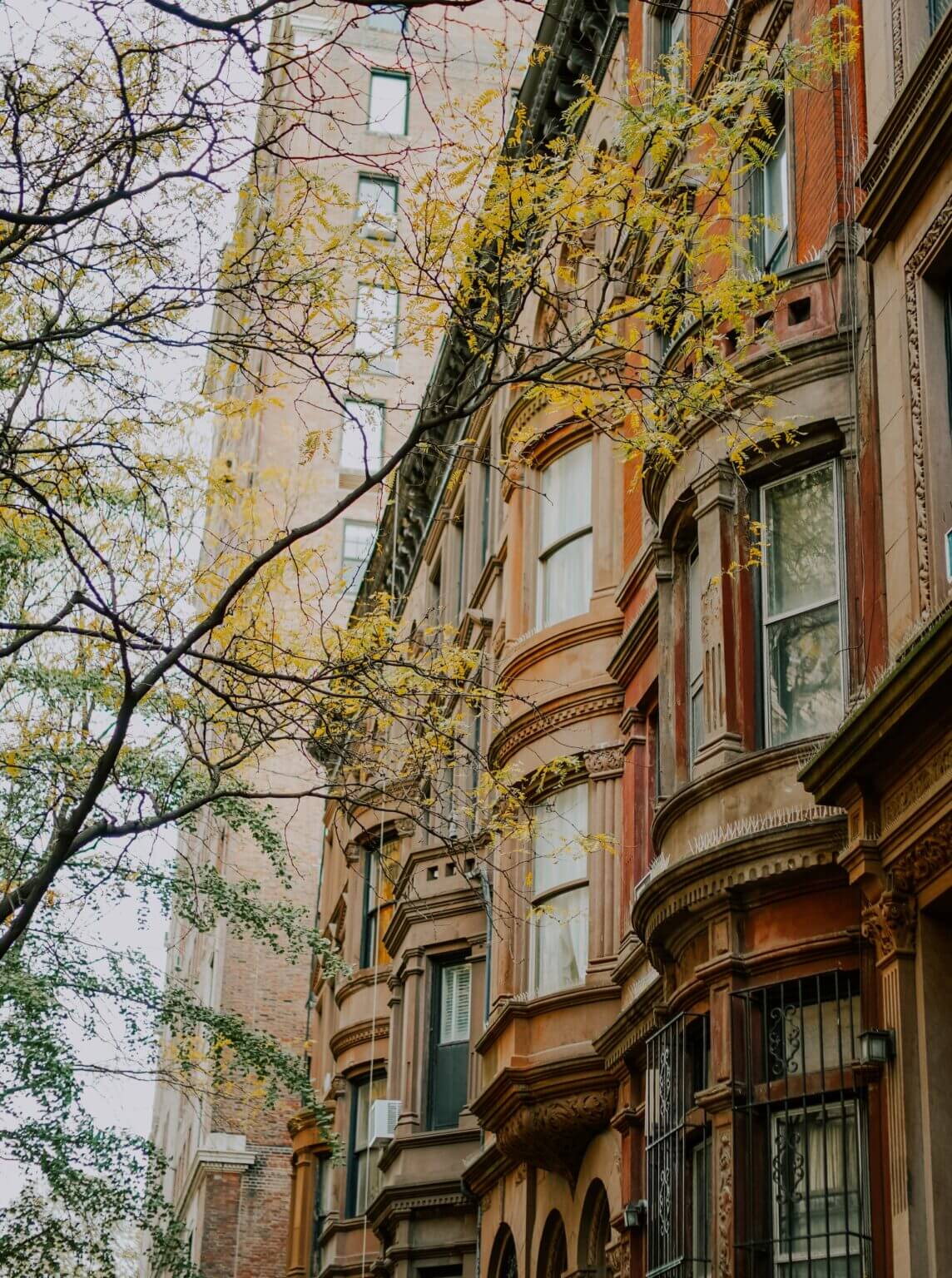 Types of Bay Windows and Where to Use Them | Modernize