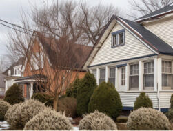 Why Winter is the Best Time to Trim Trees: Key Benefits and Tips