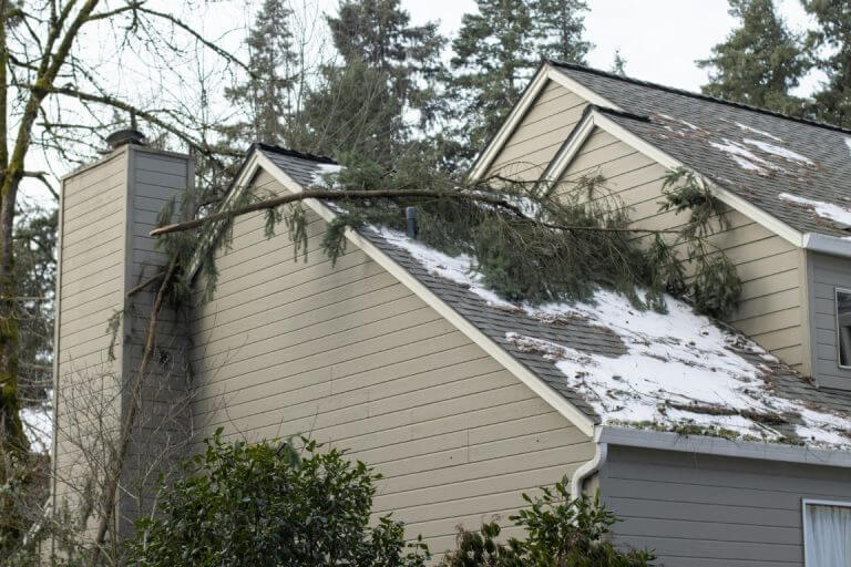 Impact-Resistant Shingles Explained: Pros, Cons, and Costs